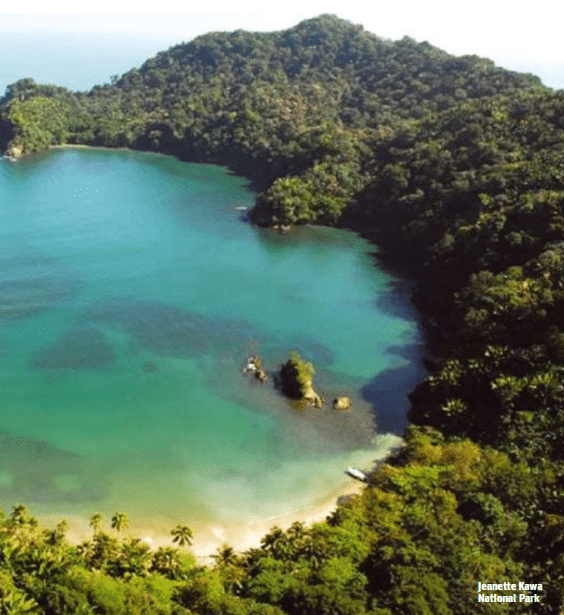 Pillaging paradise - Village Magazine